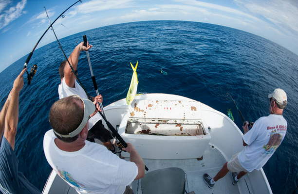 Albatross Fleet | Cape Hatteras Fishing Charters | Hatteras Village